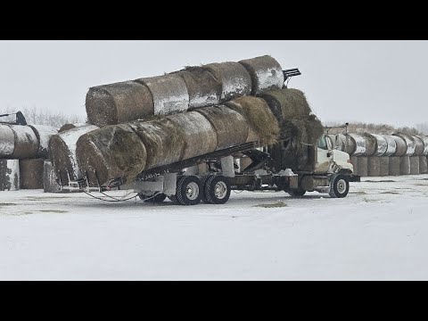 Custom bale movers