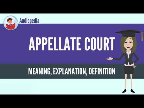 What Is APPELLATE COURT? APPELLATE COURT Definition & Meaning