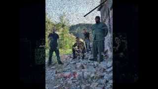 The Beginner's Guide to Reggae-Metal | Ultimate Guitar