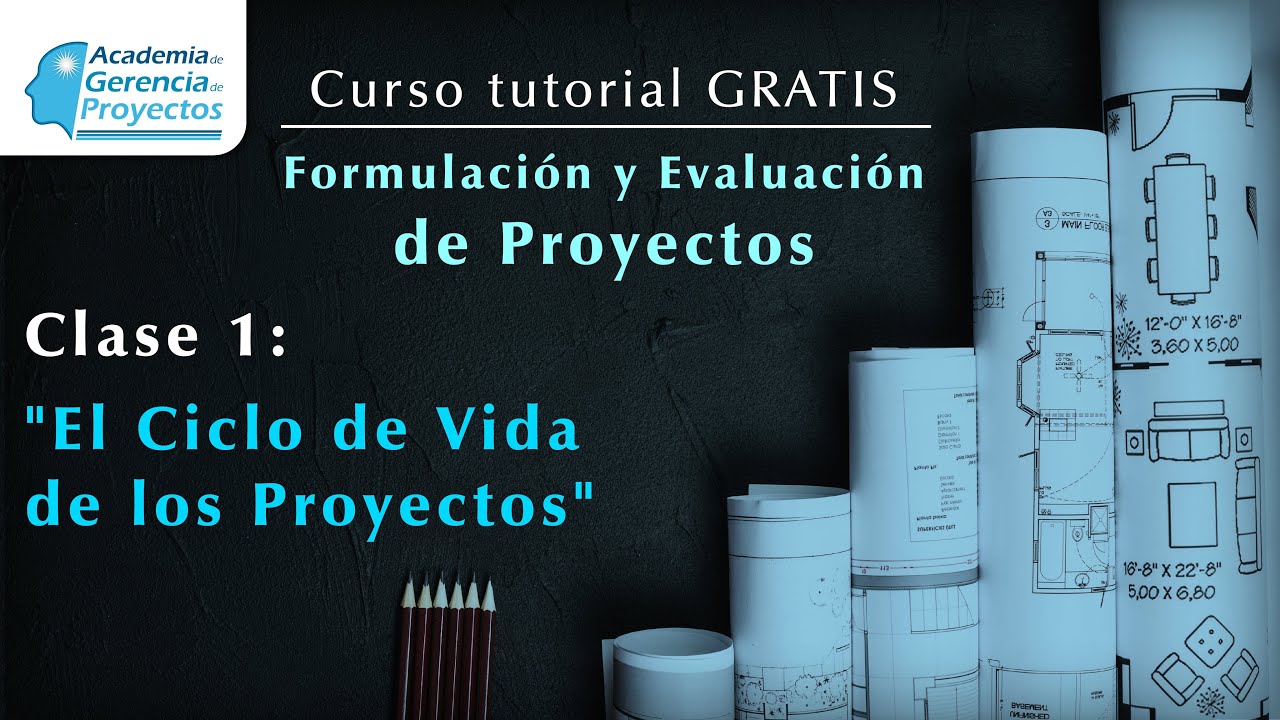 CLASE 1 - Ciclo de Vida de los Proyectos