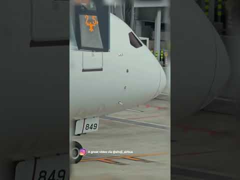 Precise Plane Parking! (Boeing 787 Uses Automated Parking System)