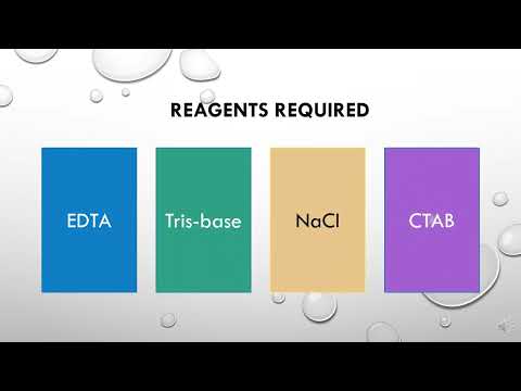 Preparation of CTAB buffer