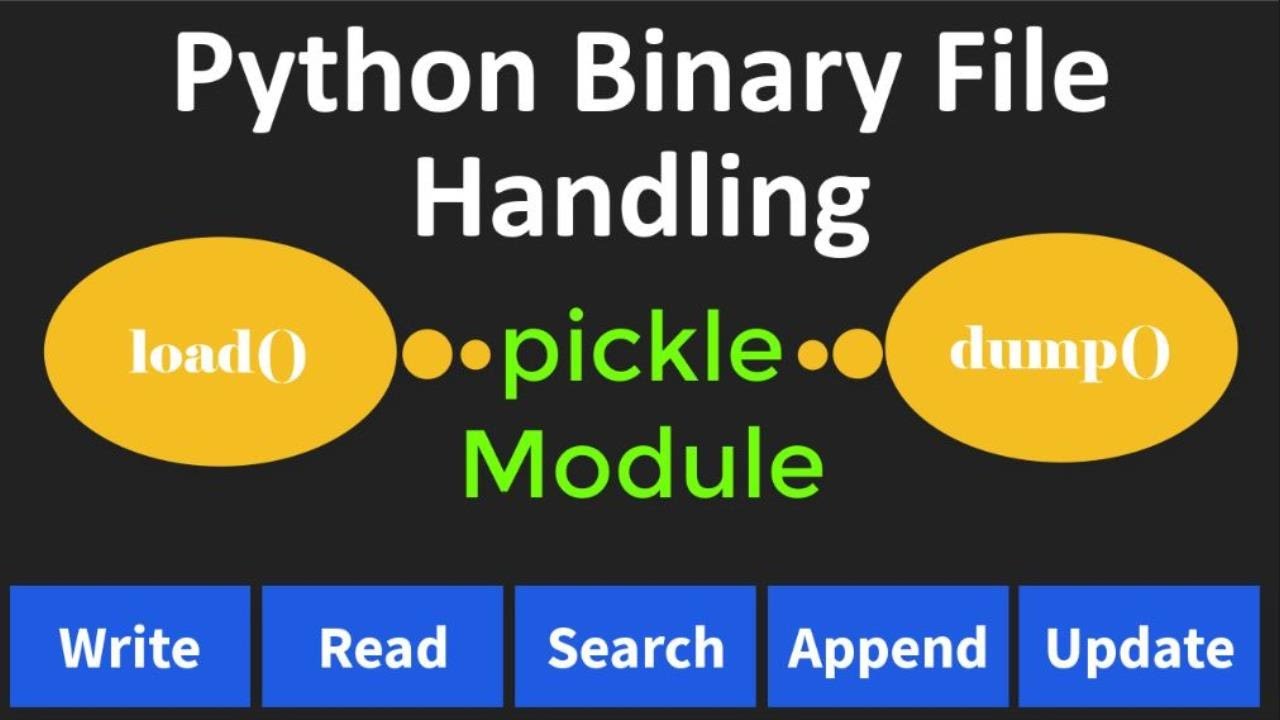 Practice Programs on Binary File Handling in Python