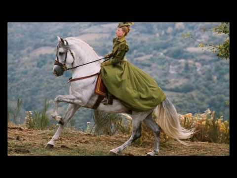 A must read for French students the countess obsessed with secrecy and love