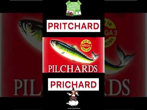 Whatβs in a #surname π΄σ §σ ’σ ·σ ¬σ ³σ Ώ #pilchards #pritchard #prichard #sardines #stdavidsday