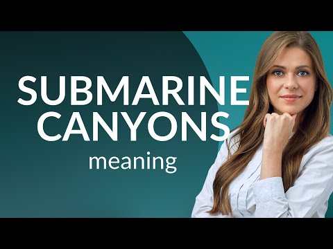 Exploring the Depths: Understanding Submarine Canyons