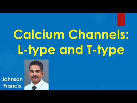 Calcium Channels L-type and T-type