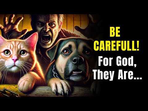 If You Love Animals, This Is What the Bible Wants You to Know