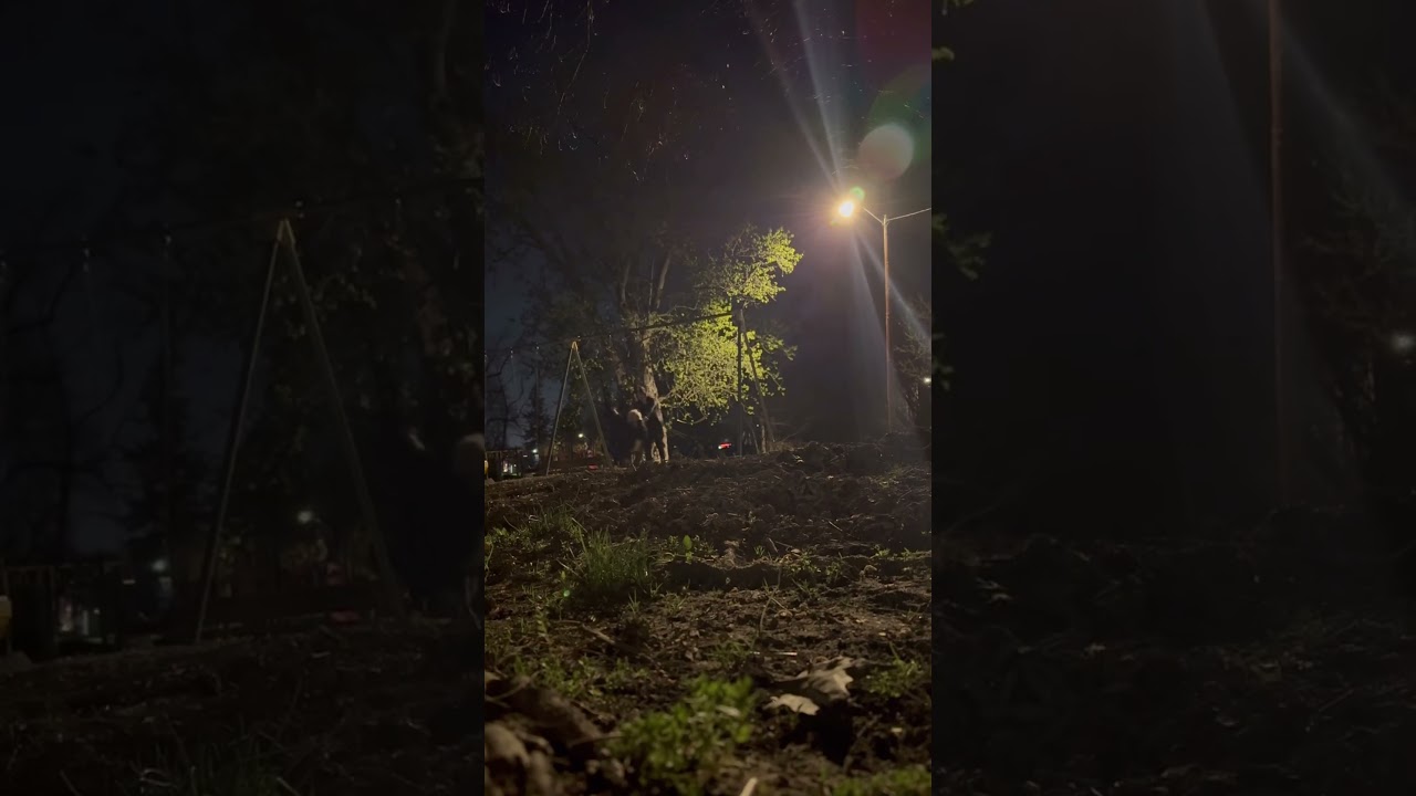 Felt Emo Might Delete? #takingback2007