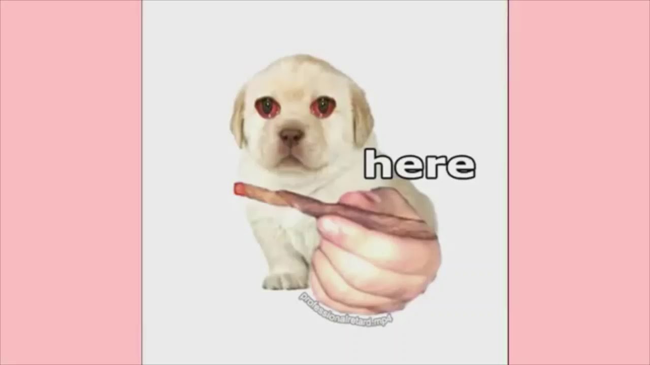 Quieres Meme Compilation
