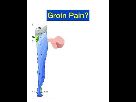 Groin Pain