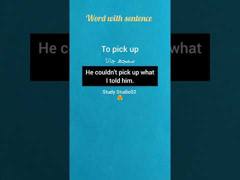 To pick up word urdu meaning with sentence🙂 #studystudio #shortsfeed #englishgrammar