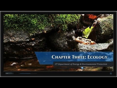 Wetland Functions & Values: Chapter 3 Ecology
