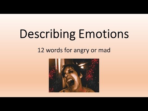 English Lesson - Synonyms for Mad / Angry
