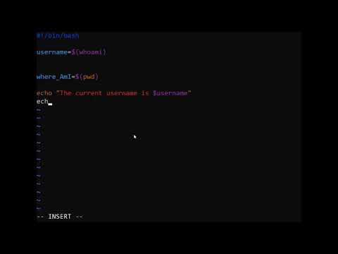 Run Linux Commands as variables in a Bash Script Linux For Beginners Episode 30 #bashscripting
