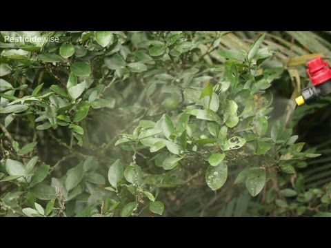 Pesticidewise: spot spraying insecticides/fungicides