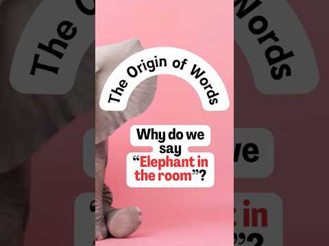 ELEPHANT IN THE ROOM π The Hidden Meaning Behind This Common Phrase! #shorts #elephantintheroom