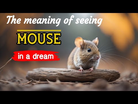 Mouse dream meaning and symbolism