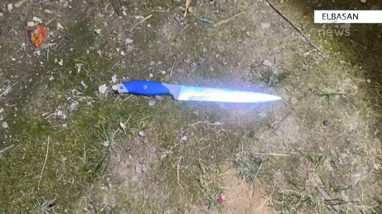 Top News/ ‘Gruaja më mori pronat’. Dëshmia e 53-vjeçarit që goditi me ... Top News/ ‘Gruaja më mori pronat’. Dëshmia e 53-vjeçarit që goditi me ...