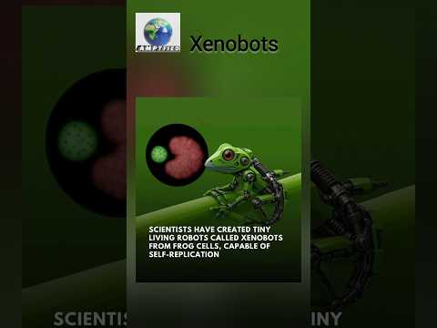 Scientists have developed xenobots from African clawed frog stem cells, that can now self-replicate