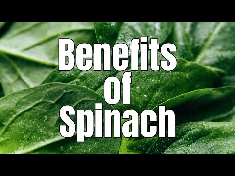 The Power of Spinach: Discover Its Health Benefits