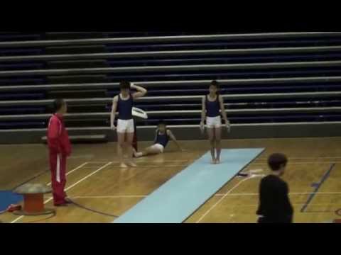 Ethan Lim on Vault 2, SG Open 2014 (MAG Stage 3)