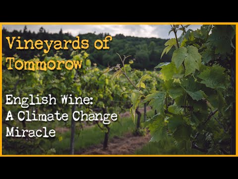 New vineyards of the world: The incredible story of English Wine [Documentary]
