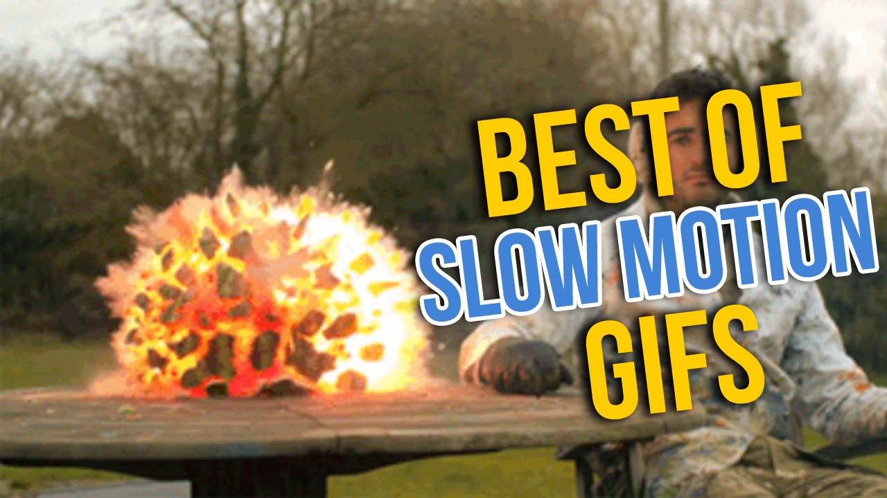 BEST OF SLOW MOTION GIFS