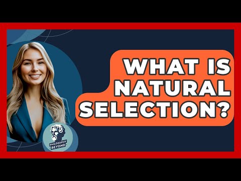 What Is Natural Selection? - Philosophy Beyond