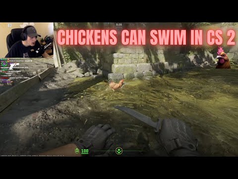 Steam Community :: Video :: Chickens Can Now Swim in CS 2