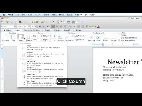 Microsoft Office Word MAC: Creating a Newsletter