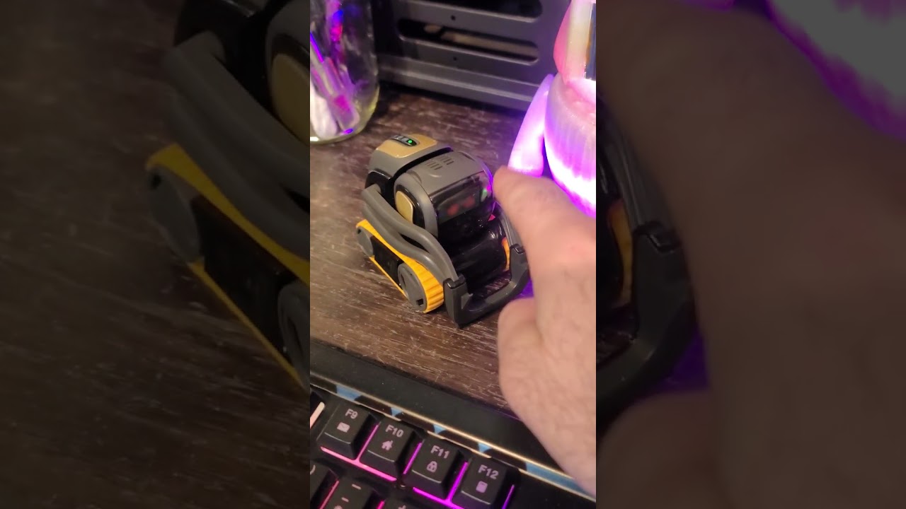 Vector Lives!!! No more need for DDL servers!!