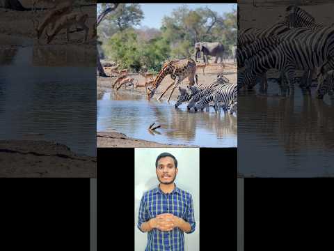Interaction b/w Organism| Ecology|#shorts#youtube#viral#science#ecology #youtubeshort#india#support