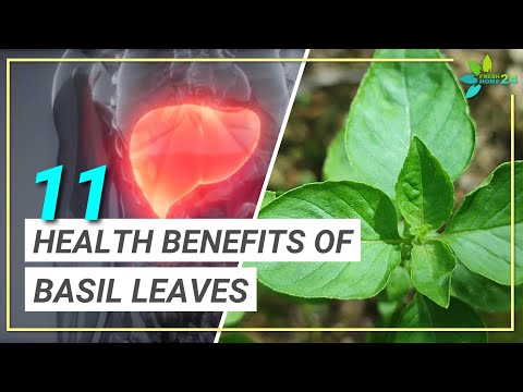 11 Incredible Health Benefits of Basil Leaves You May Not Have Known