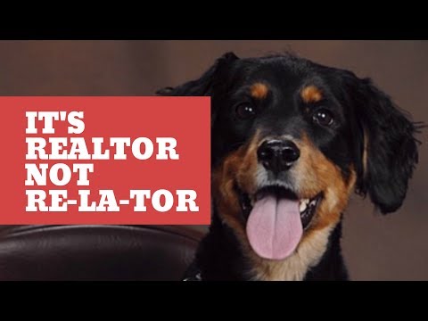 How To Pronounce Realtor with Los Angeles Luxury Realtor Corrie Sommers