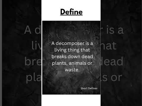 Define decomposer