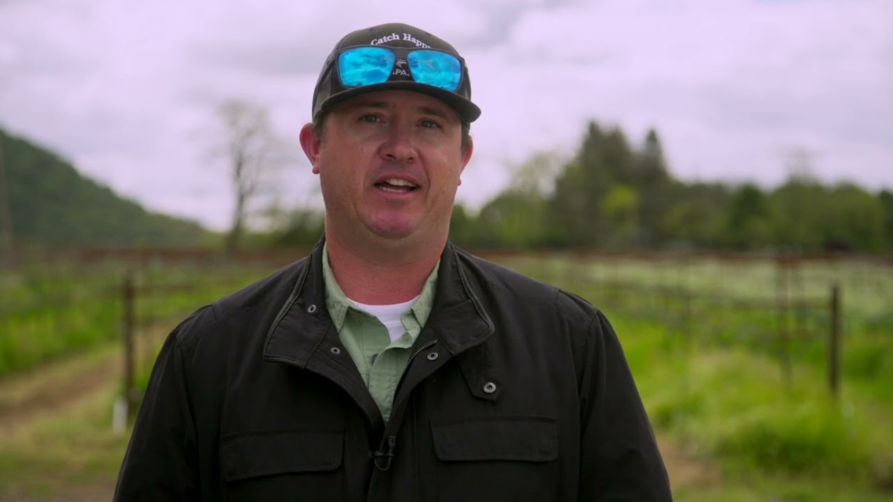 A Day in the Life of a Napa Valley Vineyard Manager