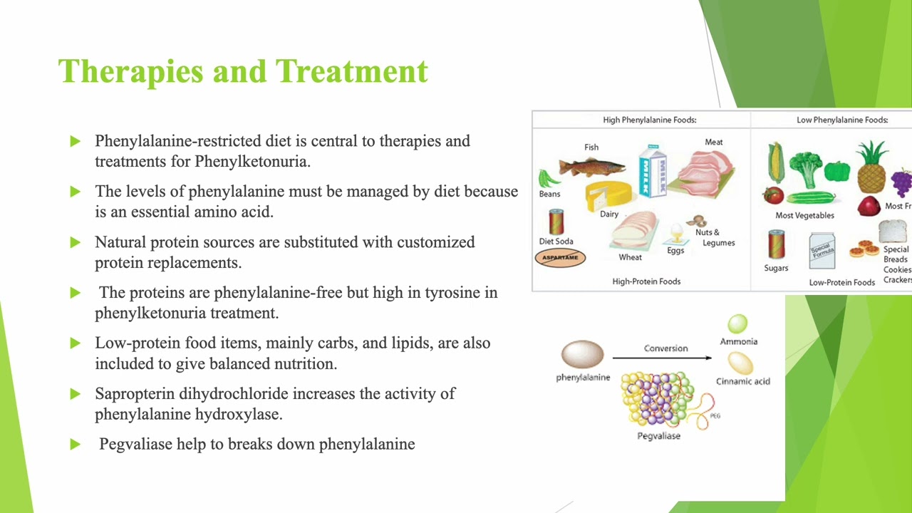 Phenylketonuria ppt 1