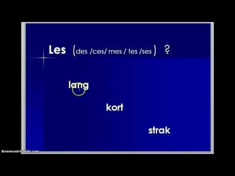 Frans: uitspraak van het lidwoord LES