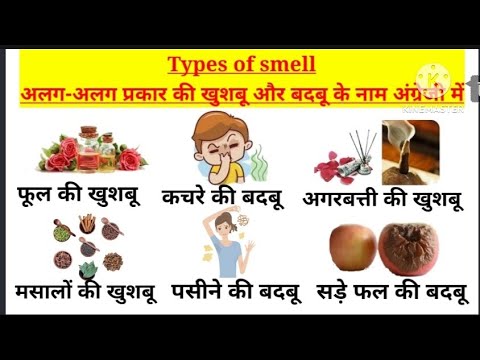 Types of smell name Hindi and English में अलग-अलग प्रकार की खुशबू और बदबू के नाम अंग्रेजी में