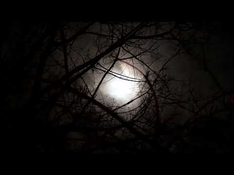 Quality Horror Sound, Thriller Suspense, Sound Effect, Trailer, Cinematic sound ( Free To Use )
