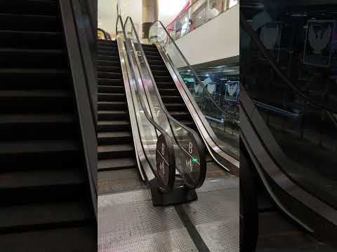 Phoenix mall | Escalator | Fun | 🤩 | Velachery