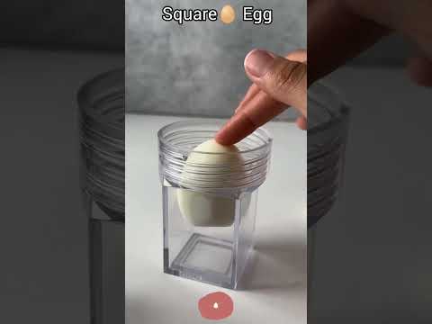 Square 🥚 Egg