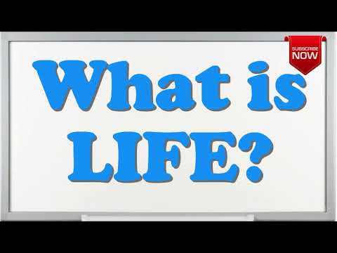 What is the full form of LIFE?