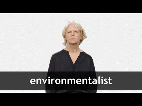 ENVIRONMENTALIST definition and meaning | Collins English Dictionary