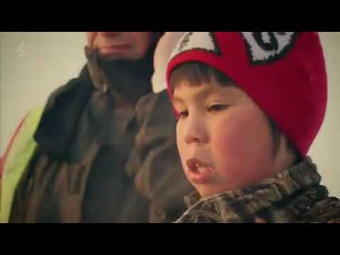 The Polar Bear @ Inside Nature's Giants