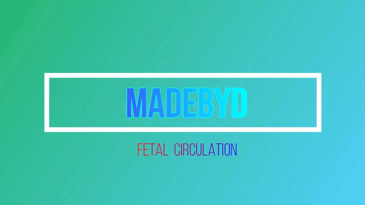 Fetal circulation || pdf video || short and descriptive