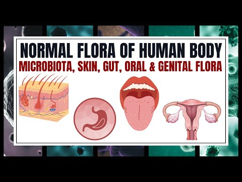 Normal Flora of Human Body Microbiota, Skin, Gut, Oral & Genital Flora Explained