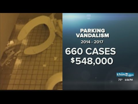 If you damage city property, should you pay for it?