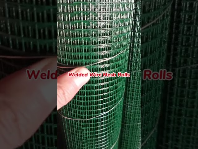 PVC Wire Mesh - PVC Coated Welded Wire Mesh Manufacturer from New Delhi